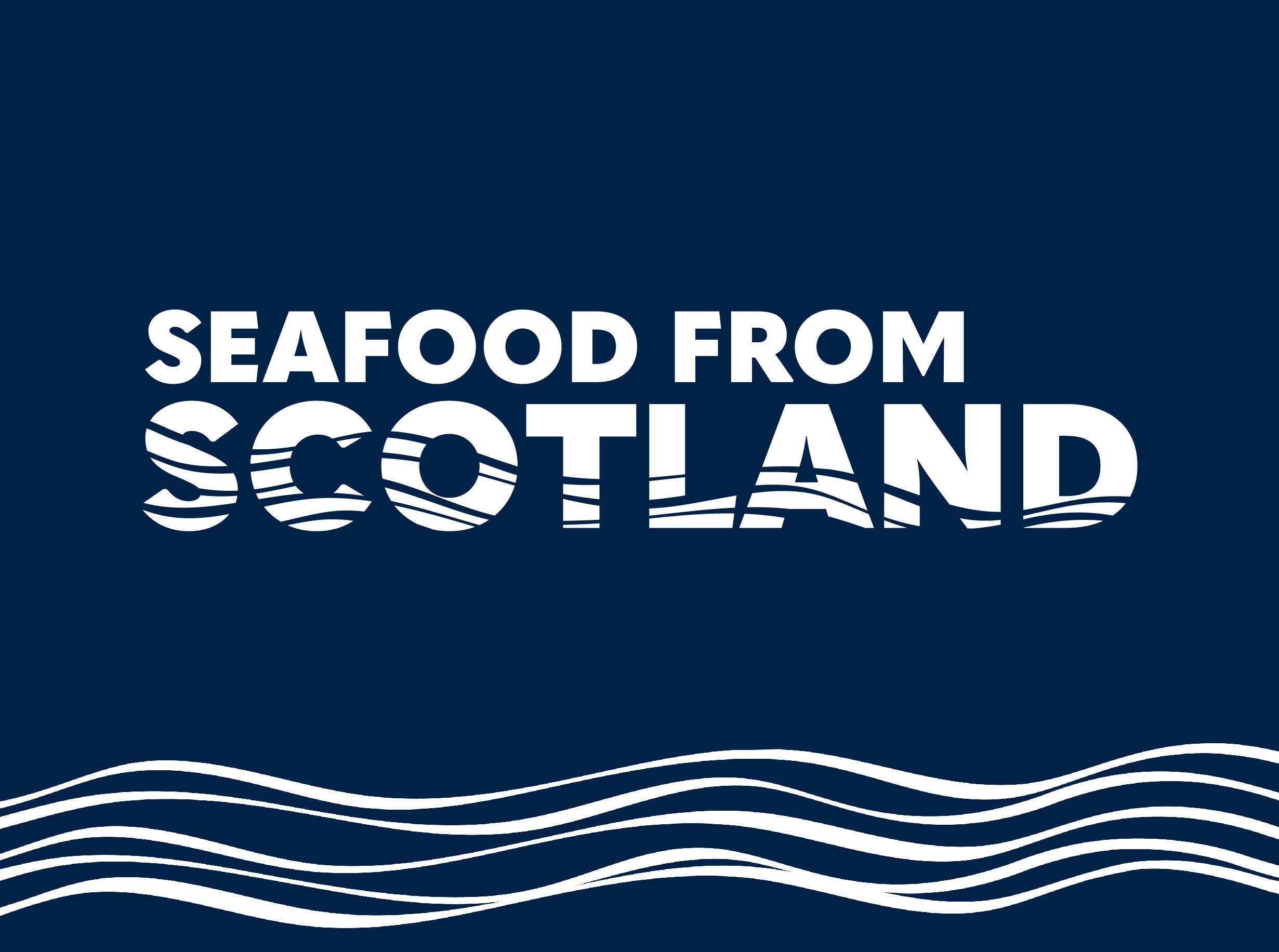 Clark. Studio - Clark.